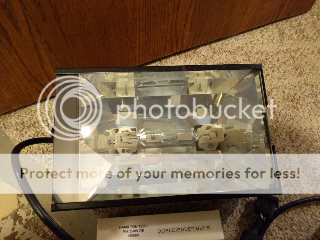 Ice Cap Ballast 250w DE Metal Halide | Reef2Reef