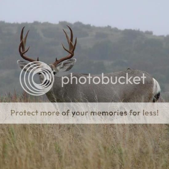 (News Update ) Spike Box Ranch Hunting Benjamin Texas ( Knox County ...